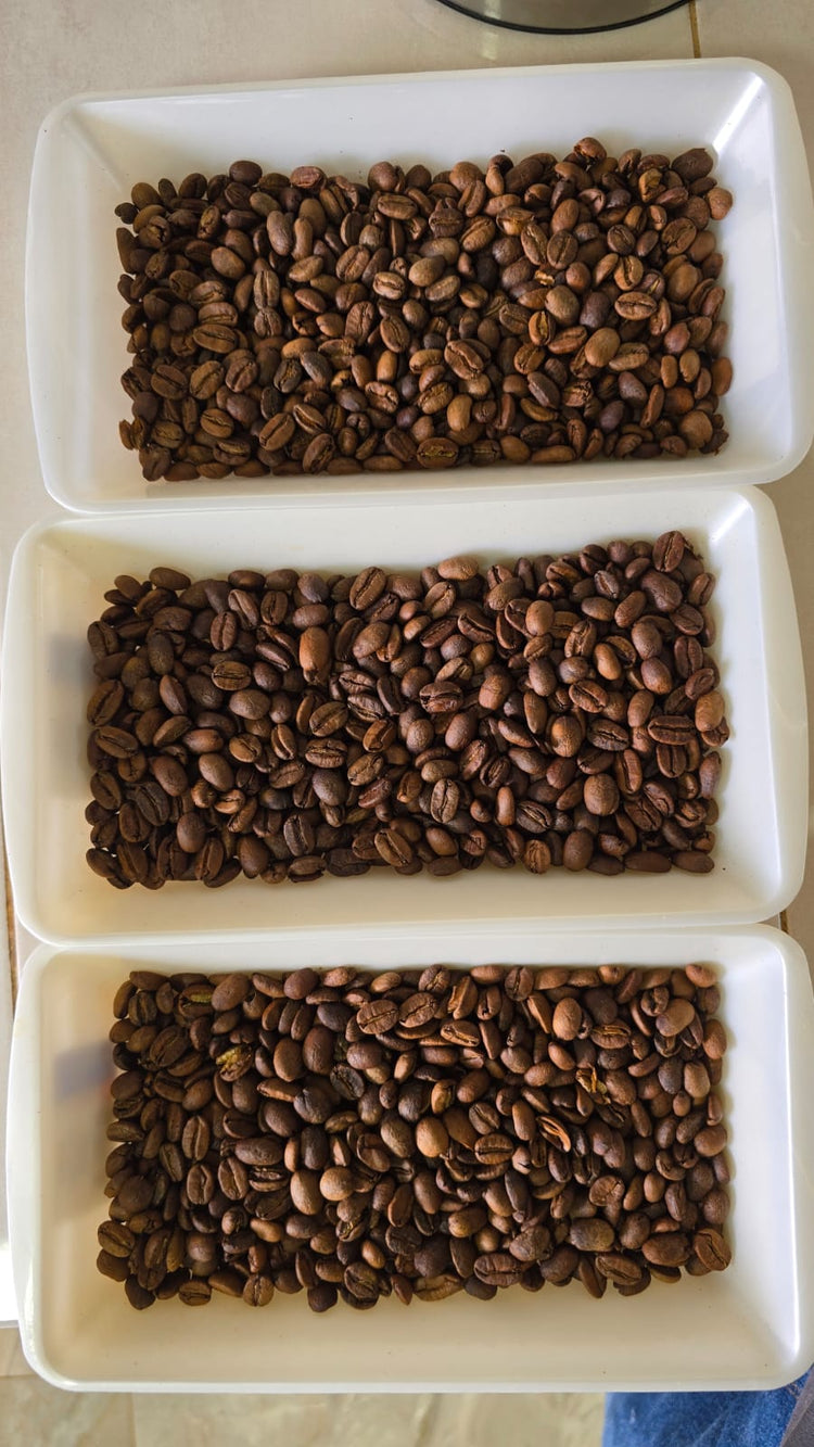 Finca Las Brisas – Colombian Coffee Hunter